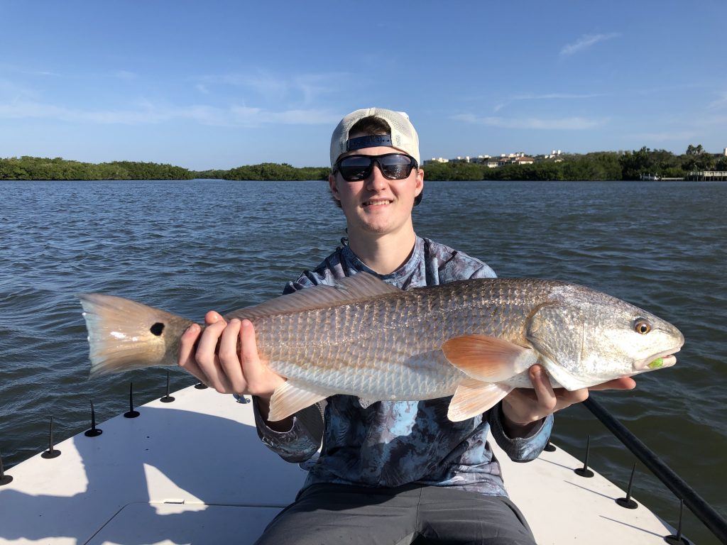 Healthy Redfish & Large Jacks Inshore - Quiet Waters Fishing