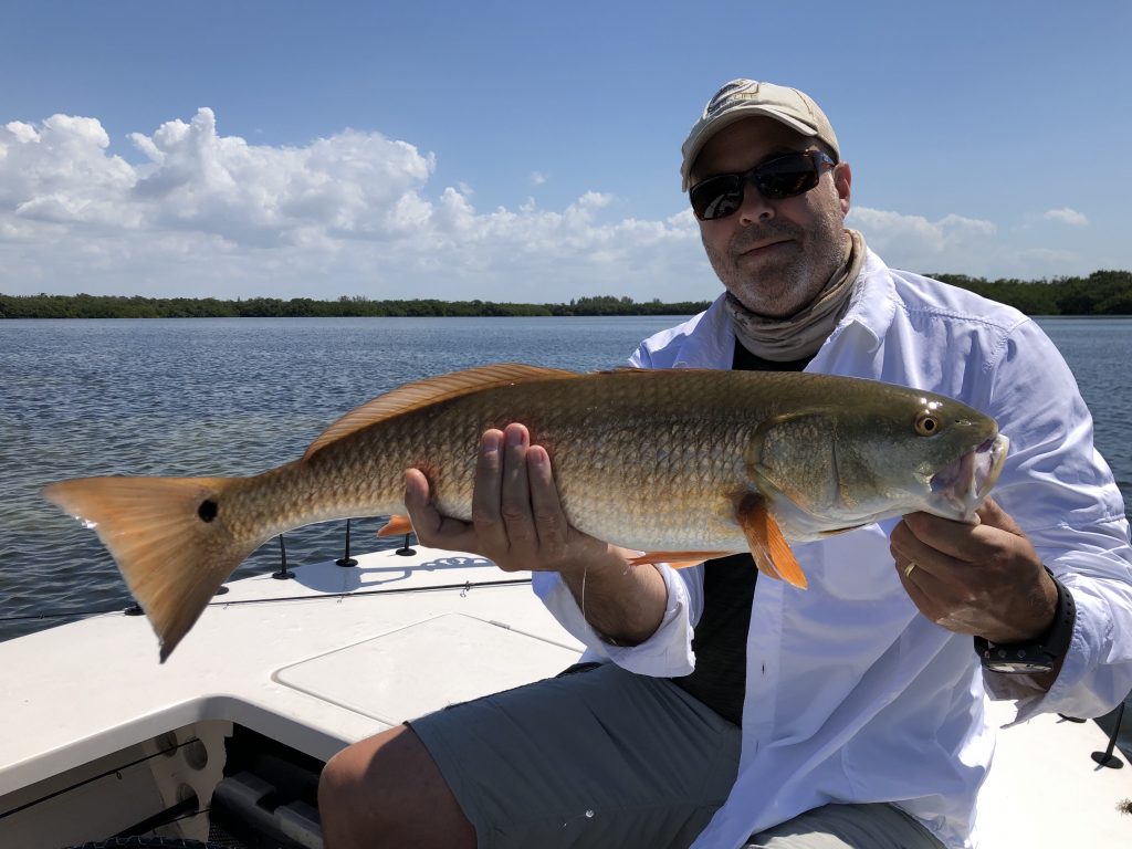 Shallow Water Fishing in Sarasota - Quiet Waters Fishing